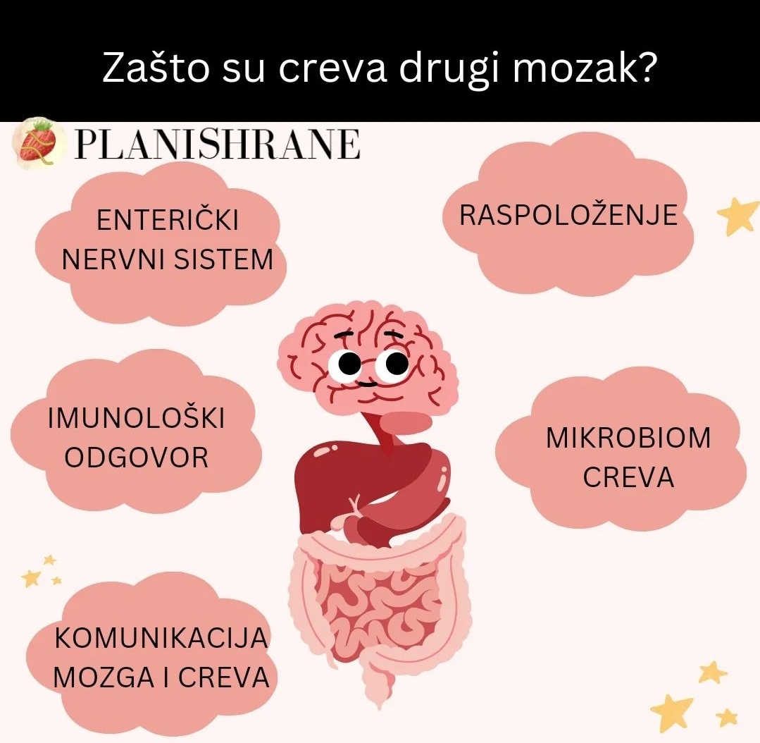Creva su drugi mozak - Plan Ishrane